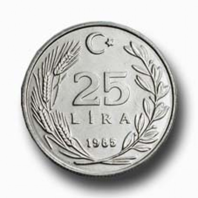 25 Lira 1985 Çil PDB133 Alüminyum